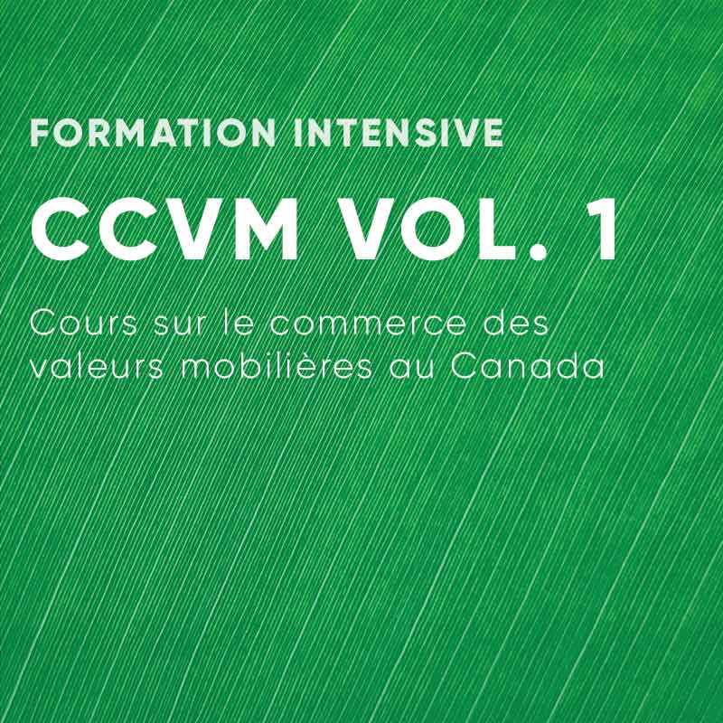 Formation Intensive Vidéo CCVM Vol. 1